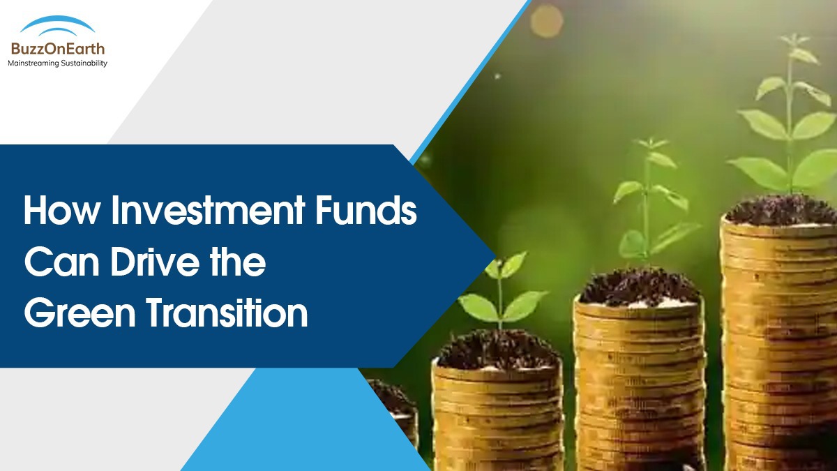 How Investment Funds Can Drive the Green Transition - Sustainability Trends